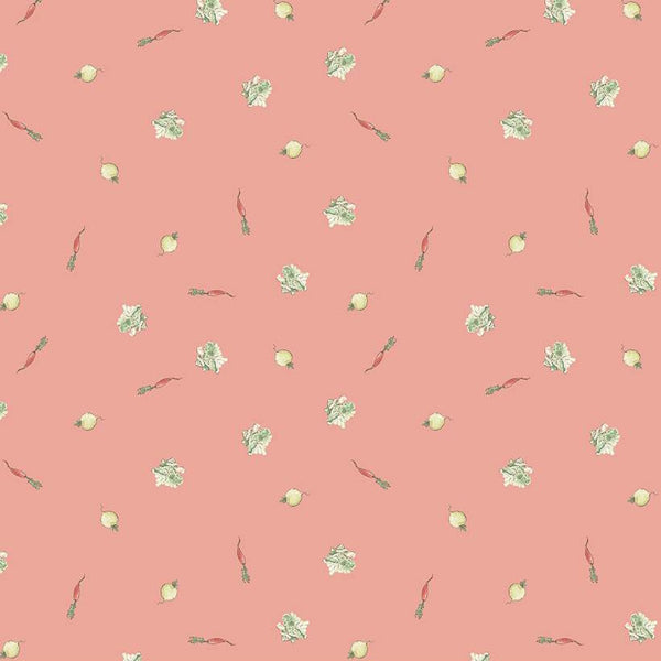 Riley Blake - C14703 Coral – Grandma's Attic Quilting